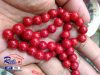 Japanese Red Coral Gemstone | Rashi Ratno